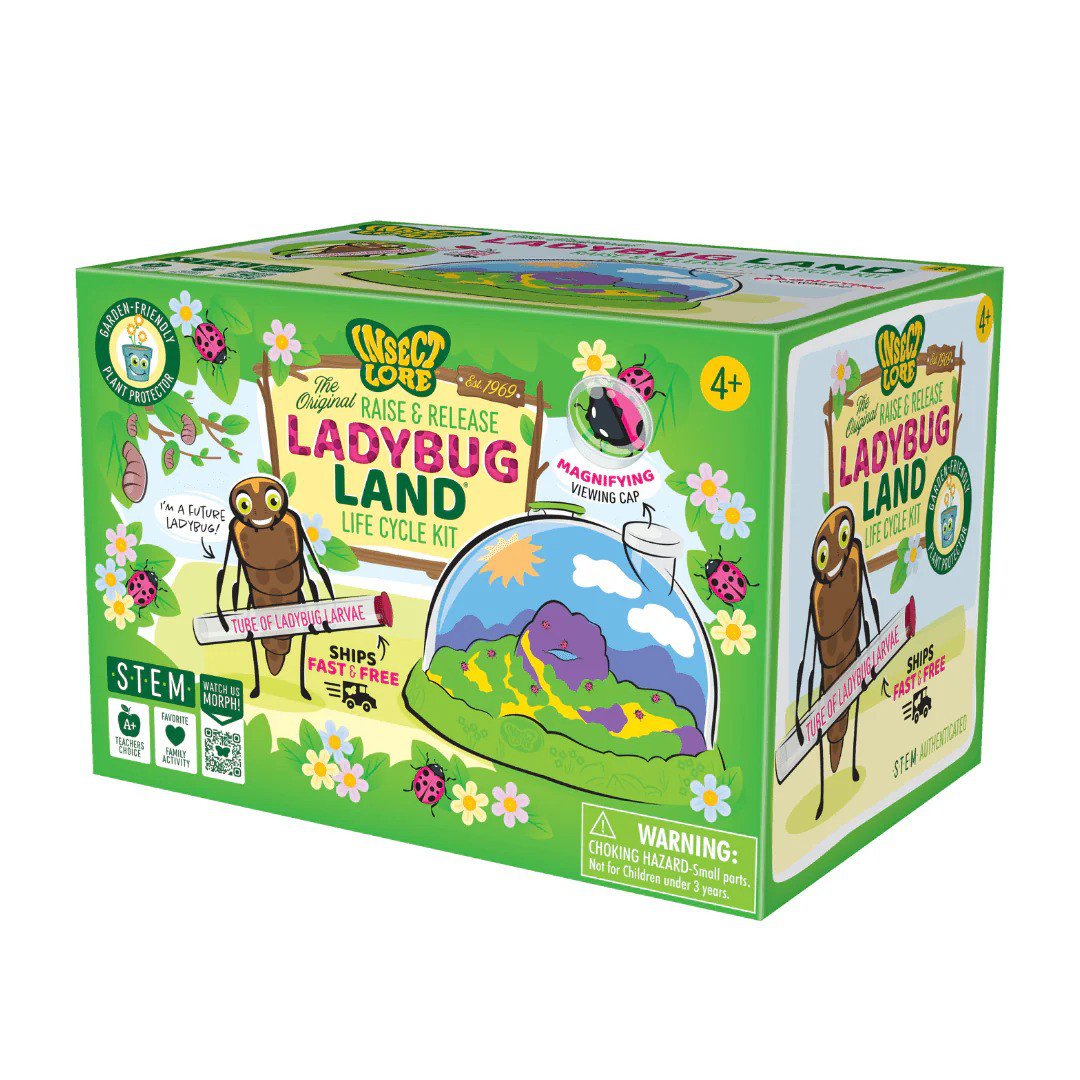Insect Lore Ladybug Land Life Cycle Kit - Watch & Release Science Fun ...