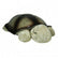 Cloud B Twilight Turtle for a Good Nights Sleep from Babysupermarket